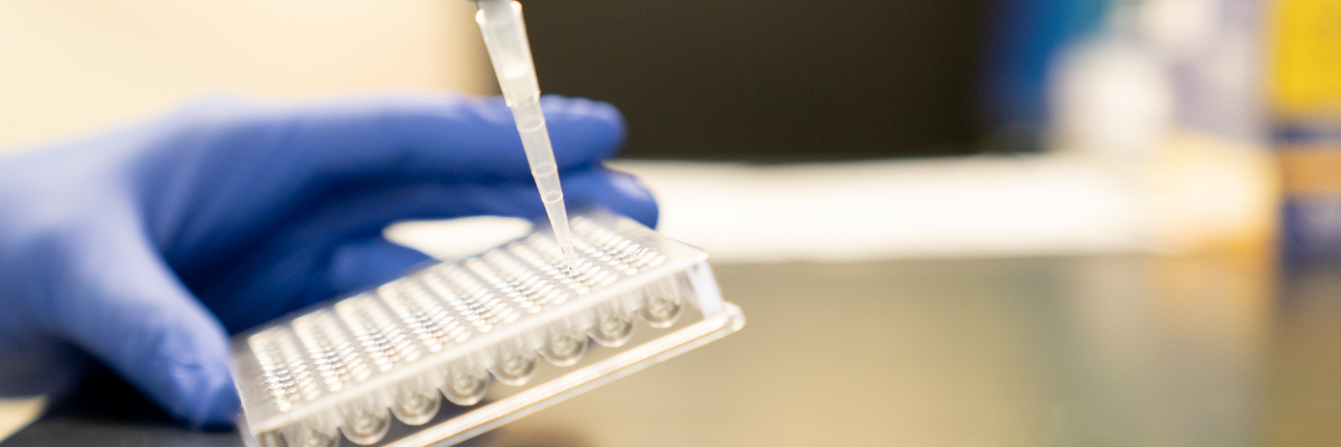 Drs. Mark Burkard and Nasia Safdar inducted into the American Society ...