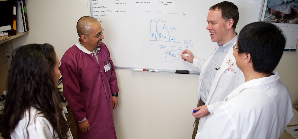 Denlinger Research | Department of Medicine, University of Wisconsin ...