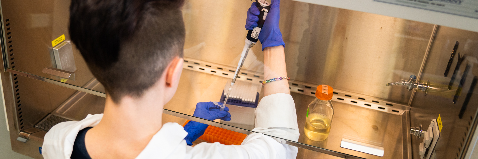 Research in the Division of Infectious Disease | Department of Medicine ...