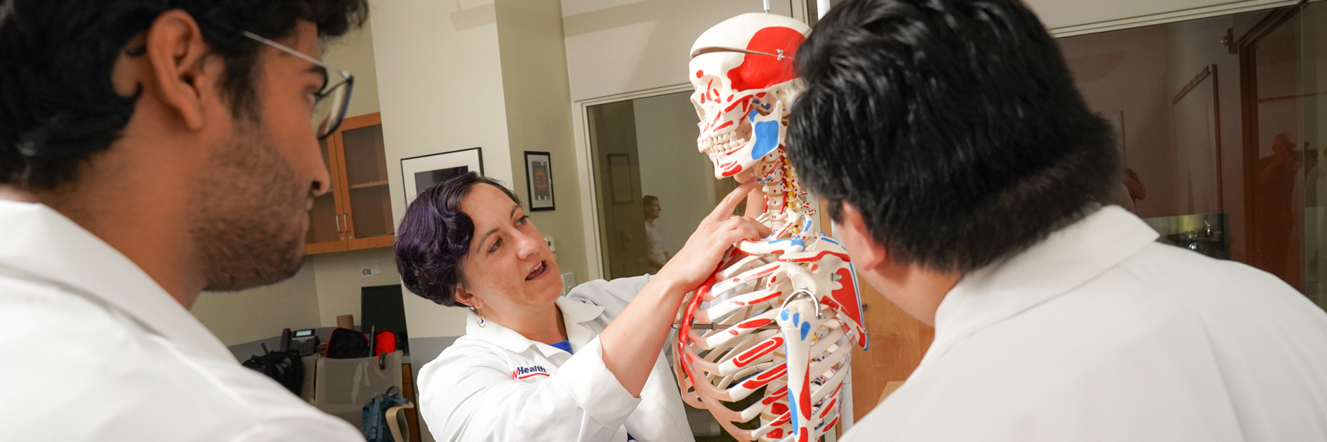 Education and Training in the Division of Geriatrics and Gerontology ...