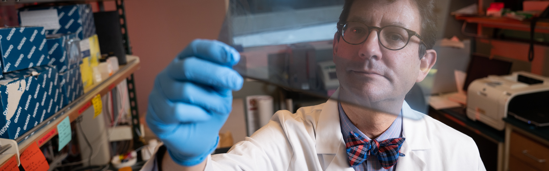 Cryns Research | Department of Medicine, University of Wisconsin–Madison