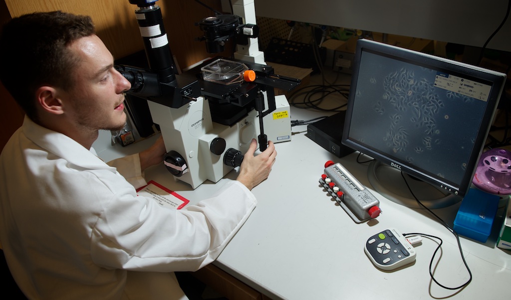 Research in the Allergy and Immunology Fellowship | Department of ...