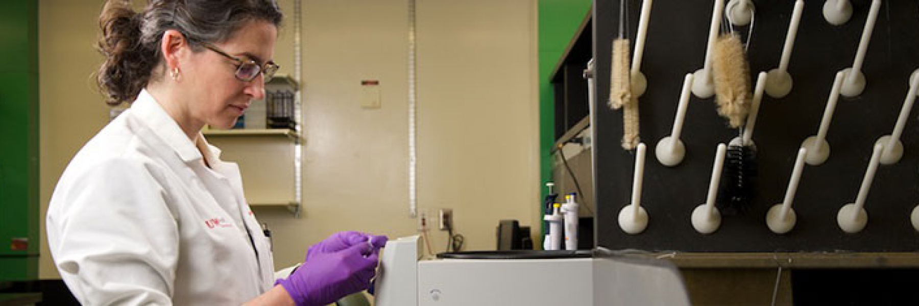 Shelef Research | Department of Medicine